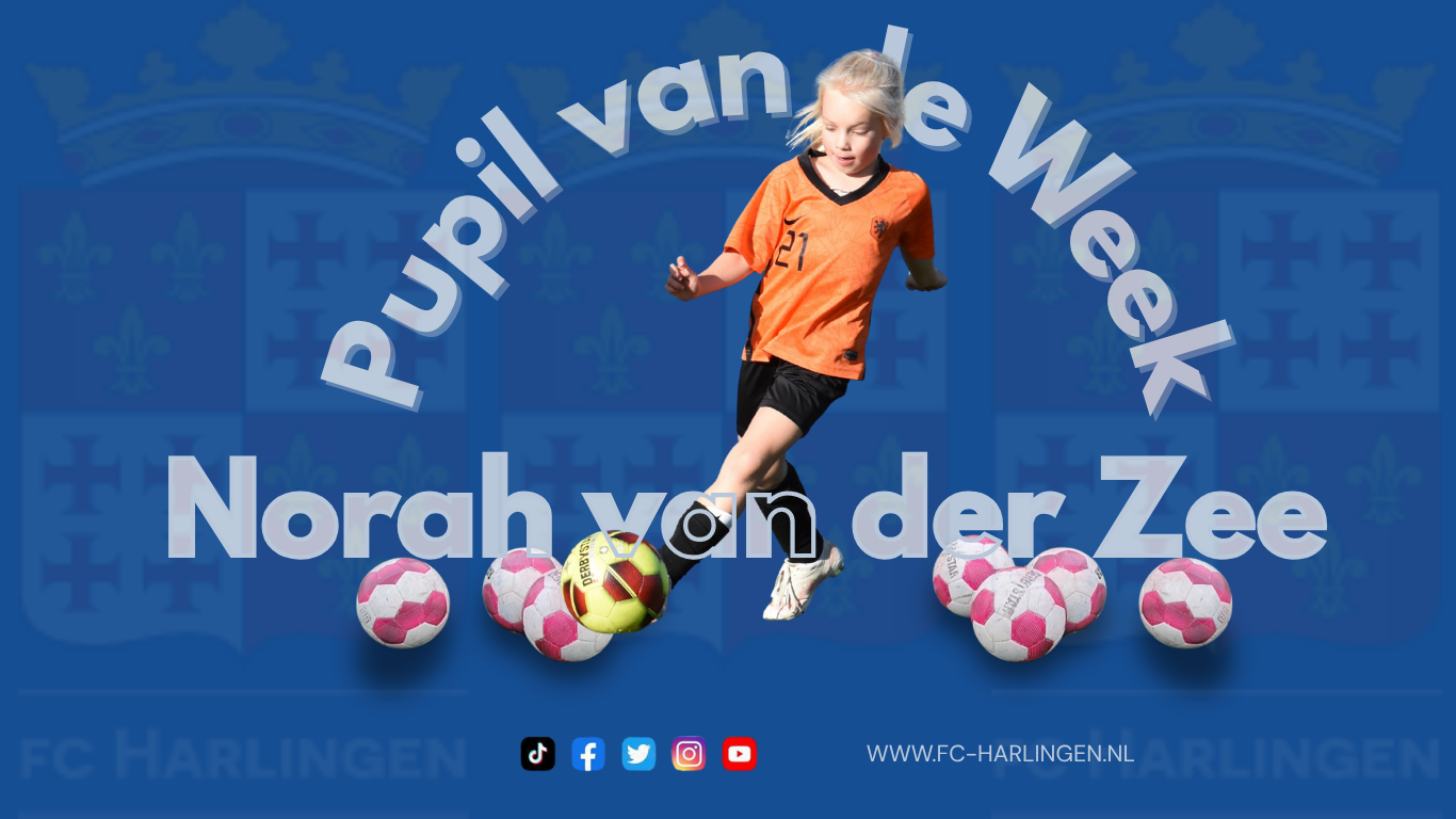 VR1 onderuit in Ternaard maar klaar voor thuiswedstrijd Dronrijp/Fourut ...